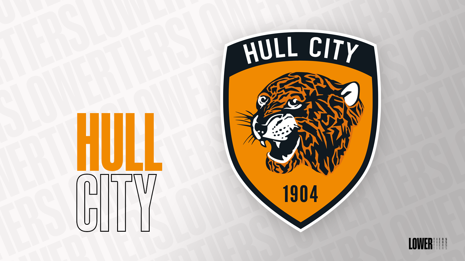Hull City: Promotion Contenders Elect