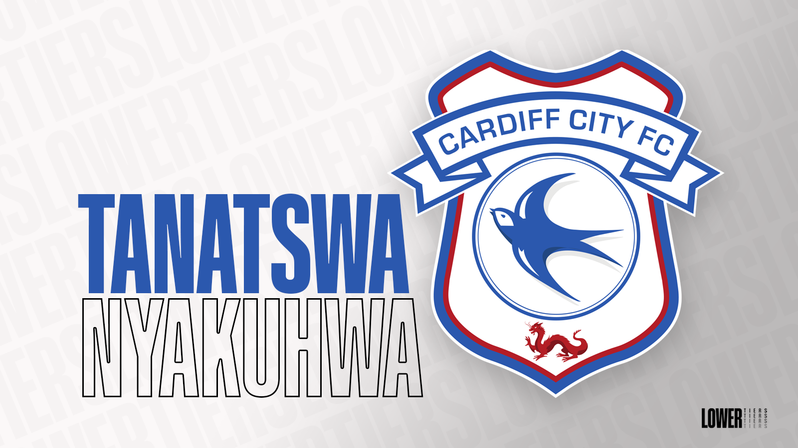 EXCLUSIVE: Cardiff Turn Down Multiple Loan Offers for Tanatswa Nyakuhwa ...